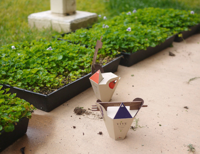 Vive Gardening Kit (Student Project) – Packaging Of The World