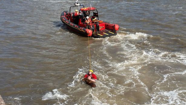 White Wolf : Brave Man Dives Into Raging River to Save His Drowning Dog