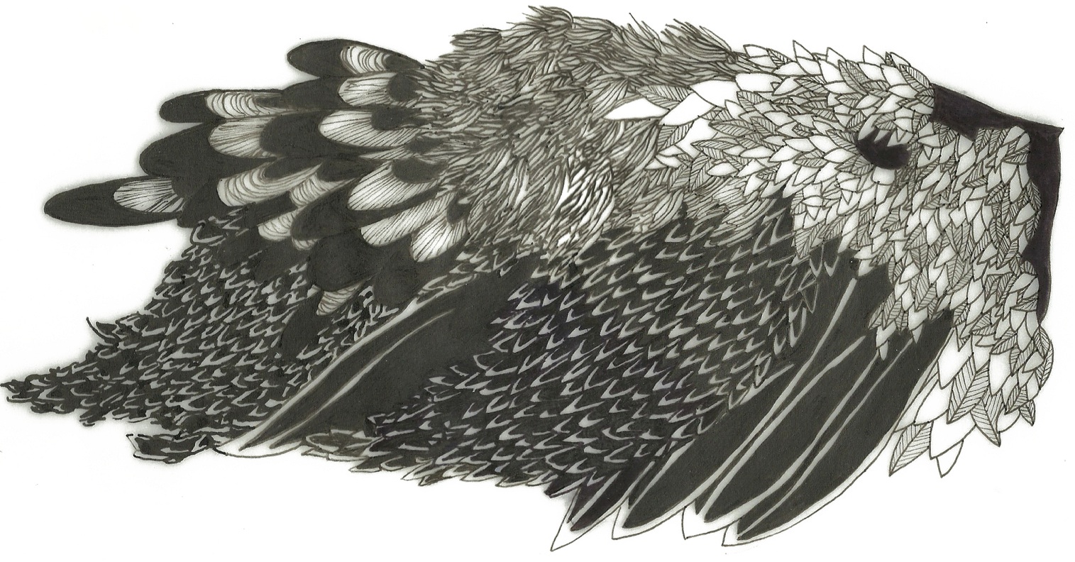 CANNY LASS: Magpie Pattern