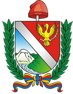 POESÍAS Y LECTURAS PARA IZADAS DE BANDERA: A LA BANDERA DEL TOLIMA