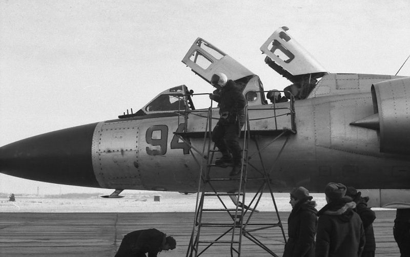 Blog de las Fuerzas de Defensa de la República Argentina: Caza de largo ...