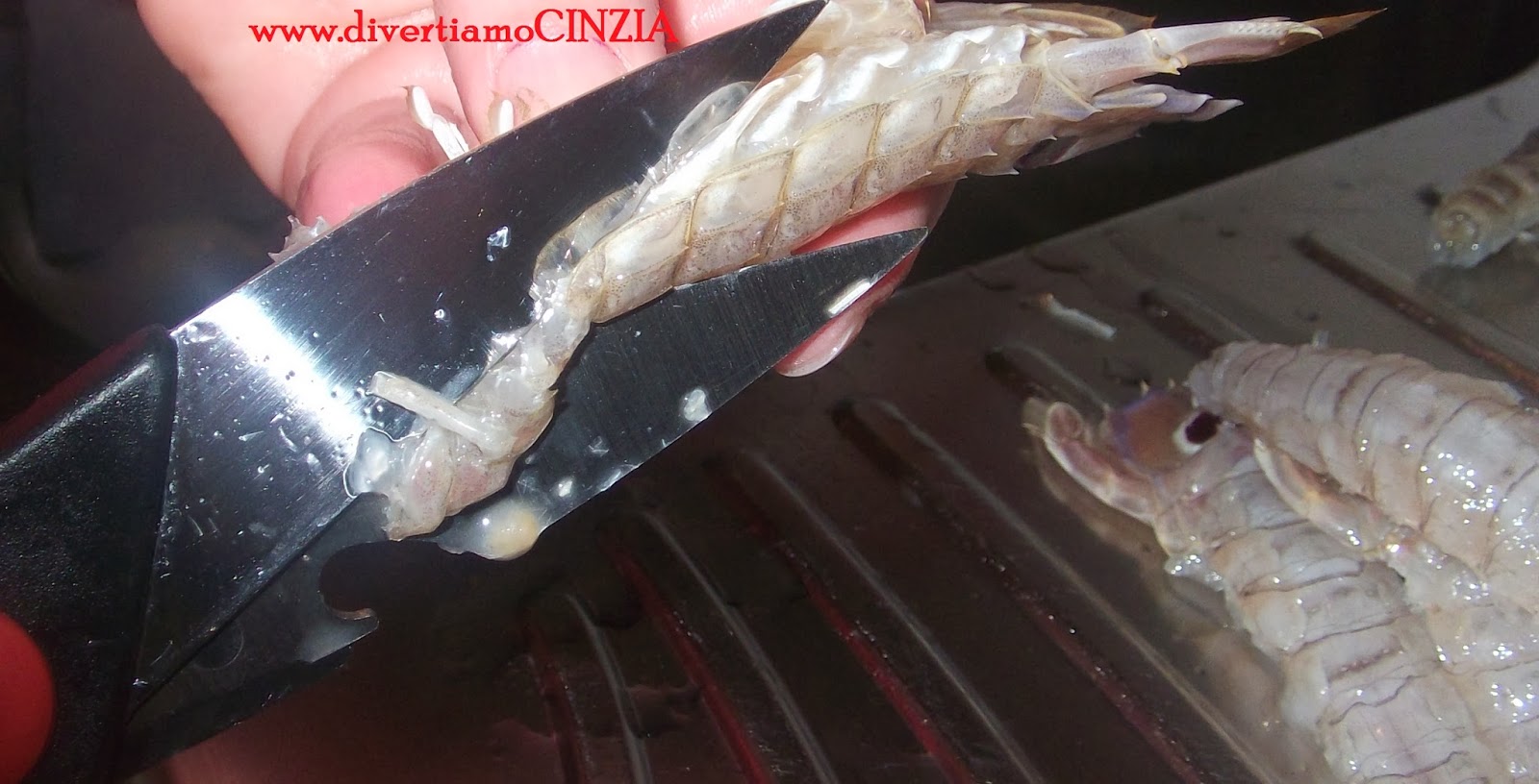 divertiamoCINZIA: CANOCCHIE AL FORNO