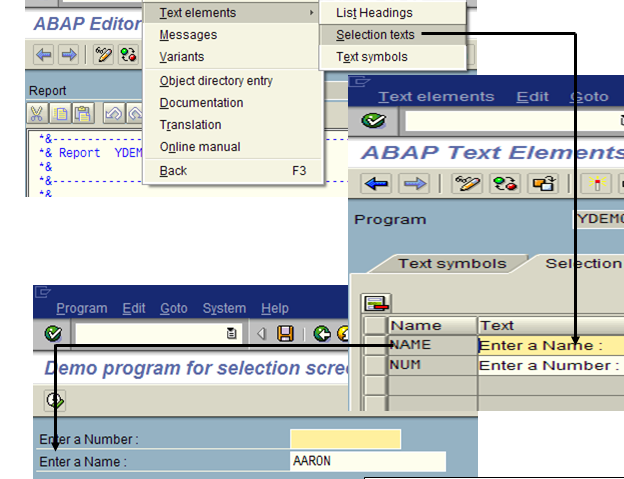 Selection Text importance in ABAP programming ~ Easy2learn ABAP - One ...