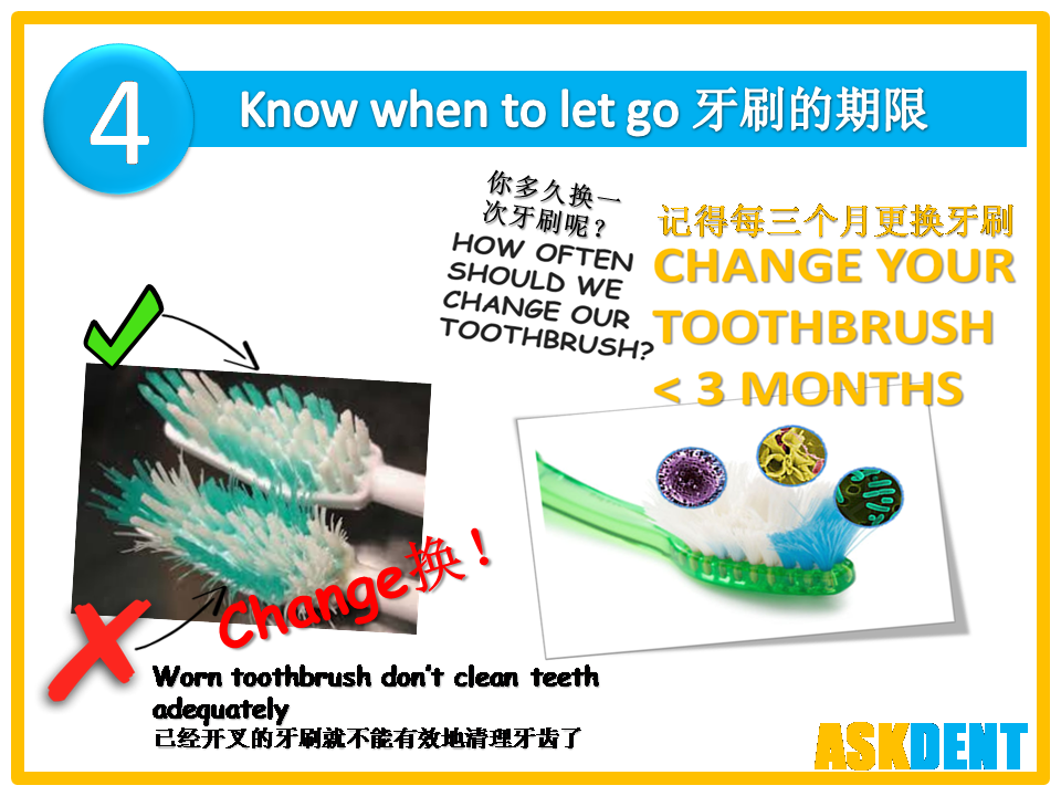 Ask.DentistMY 牙牙学医: The Ugly Truth You May Not know About Your ToothBrush