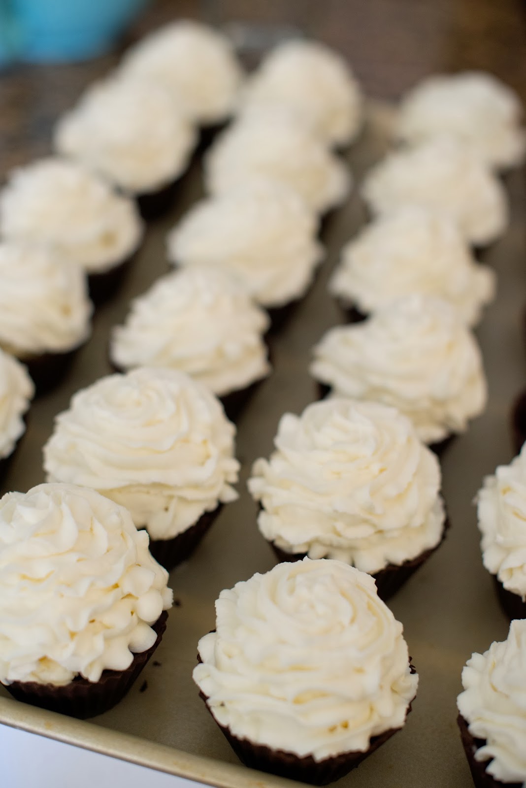 Domestic Fashionista: Ice Cream Cake Cupcakes with a Chocolate Shell