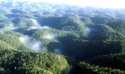 One Love: Cockpit Country