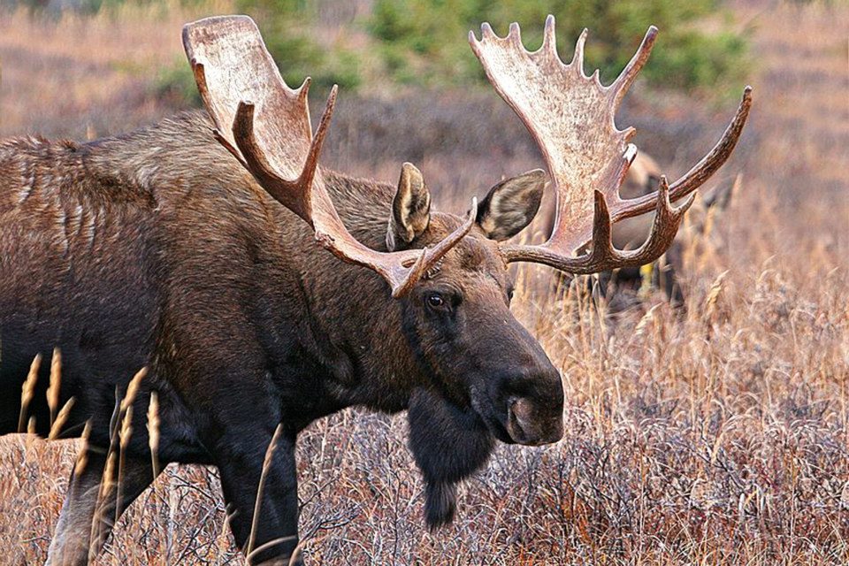 Natureza, Perfeição sem tamanho...