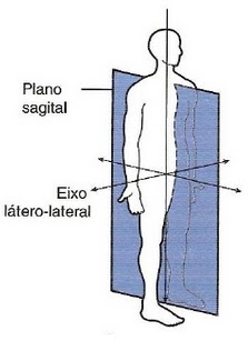 YouFisio (Fisioterapia): 2013