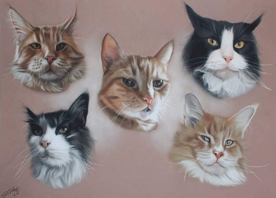 Design Stack: A Blog about Art, Design and Architecture: 10 Animal ...