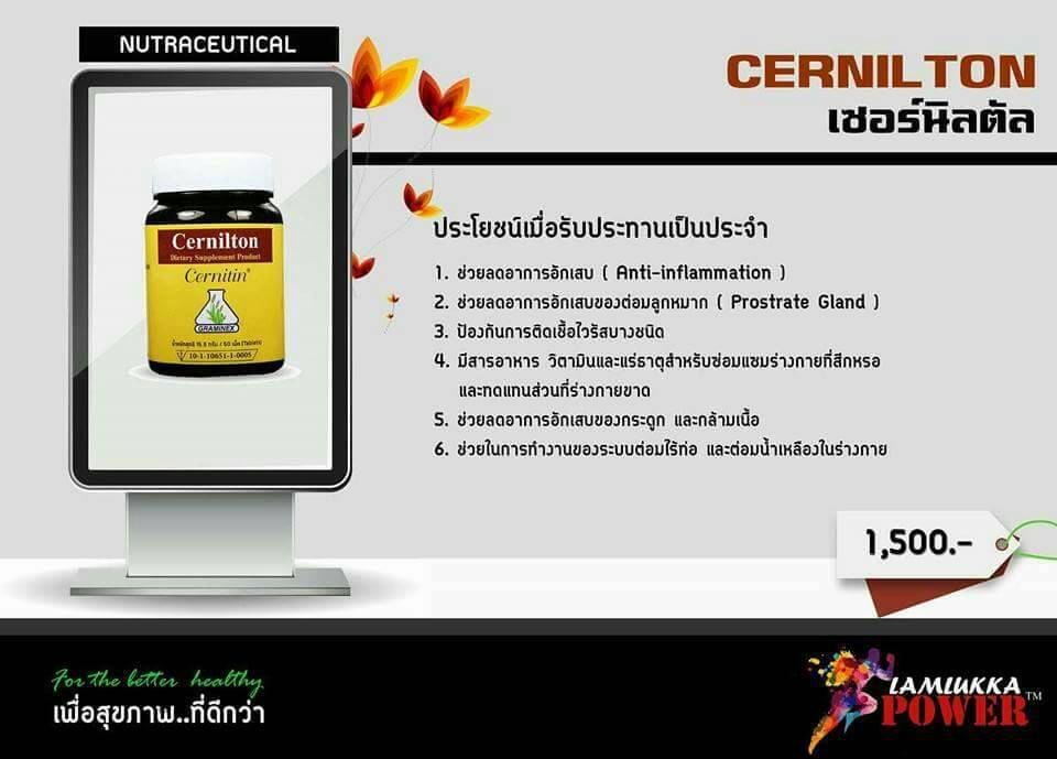 เซอร์นิติน สีน้ำตาล / เซอร์นิลตัน Cernilton - DoctorCernitin