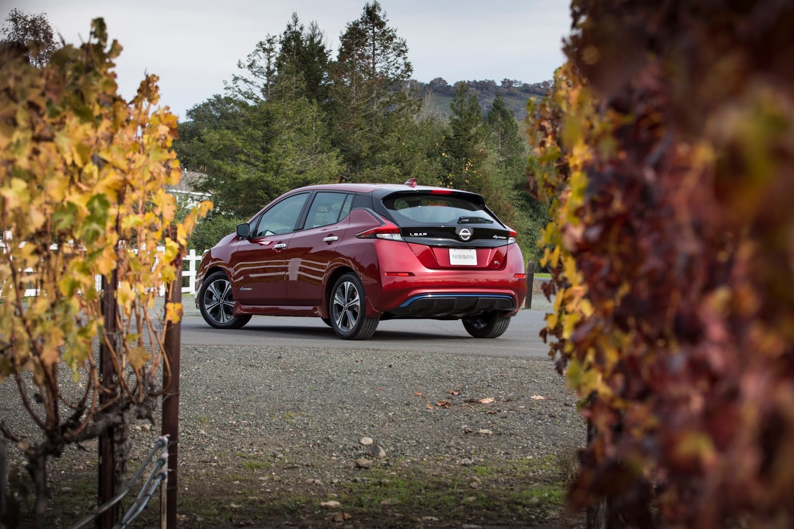 A New Leaf: The 2019 Nissan Leaf SL