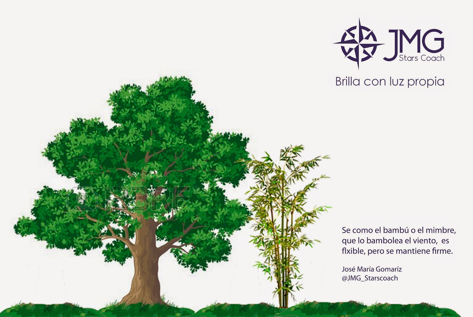 "Motivarte es un Arte" : El roble y el bambú. Feliz fin de semana.