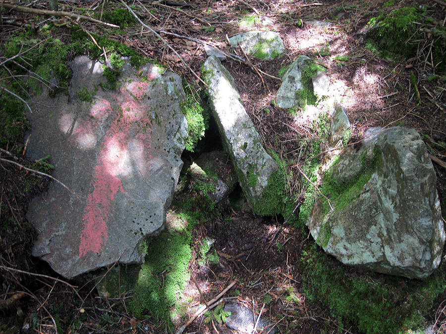 Hiking in the White Mountains: The Abandoned Adams Slide Trail