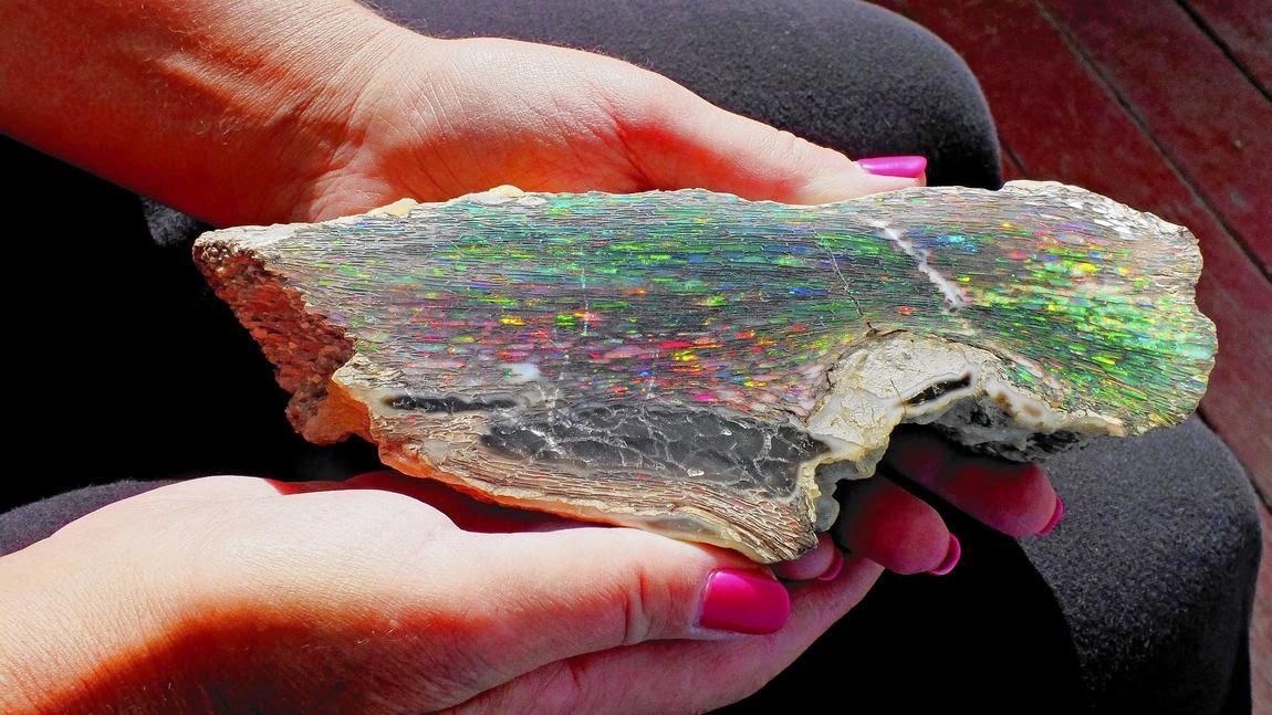 Royal Peacock Opal - Geology In