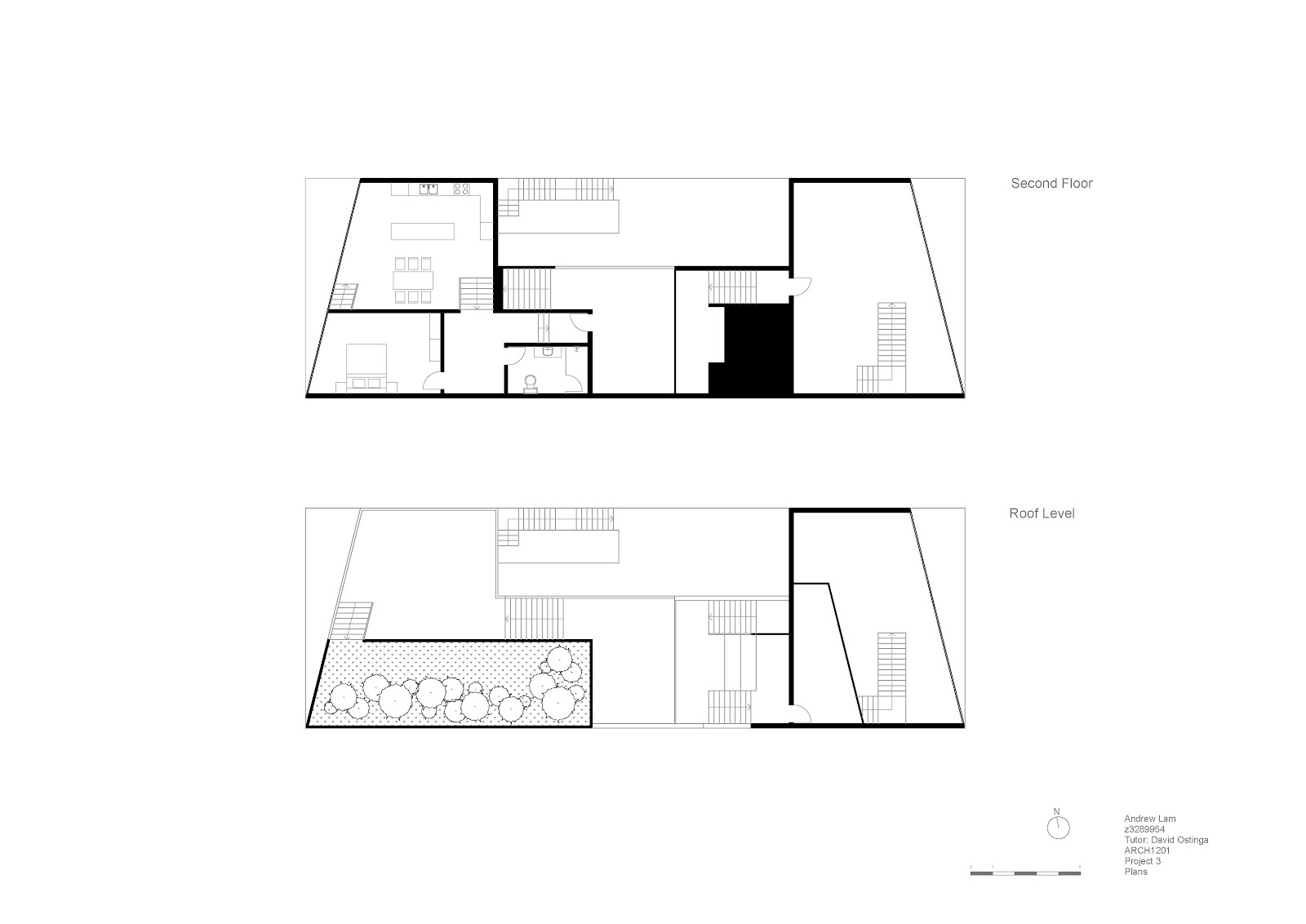 Andrew Lam: Project 3: Double House - Plans & Sections