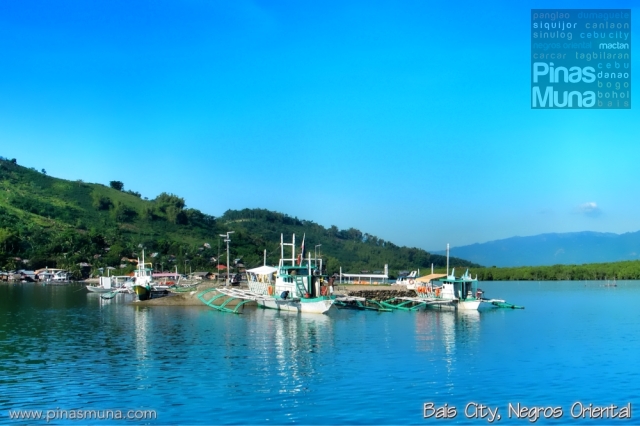 Whale and Dolphin Watching in Bais, Negros Oriental