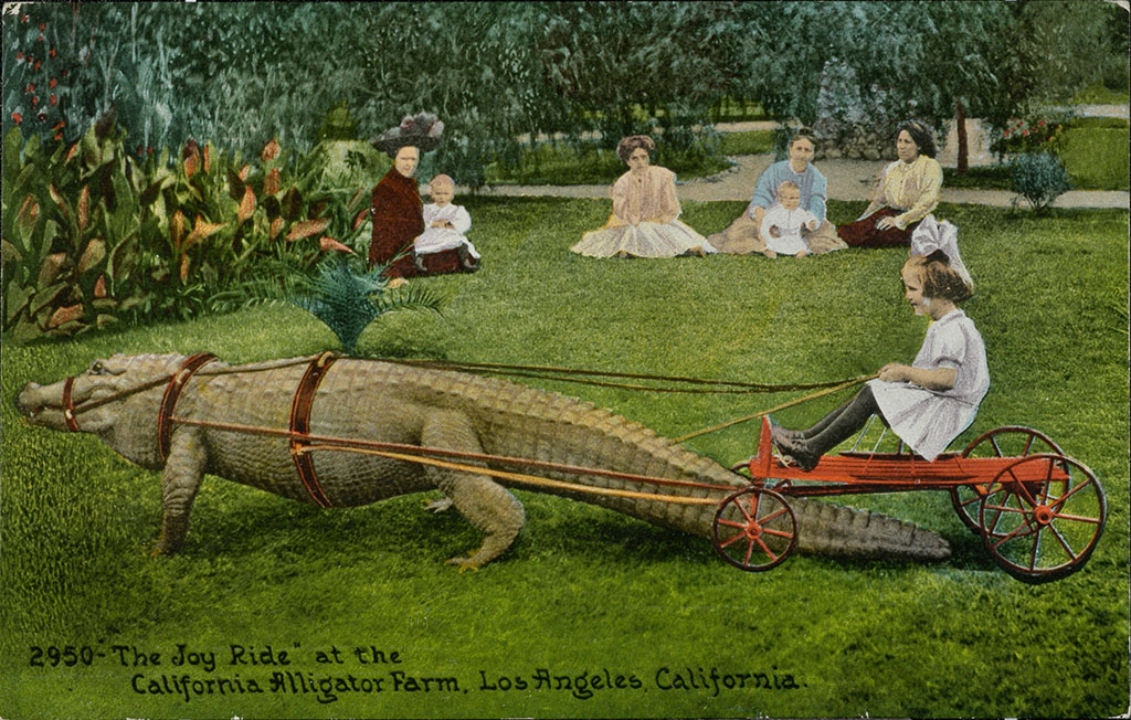 DECAYING HOLLYWOOD MANSIONS: The California Alligator Farm - Los Angeles