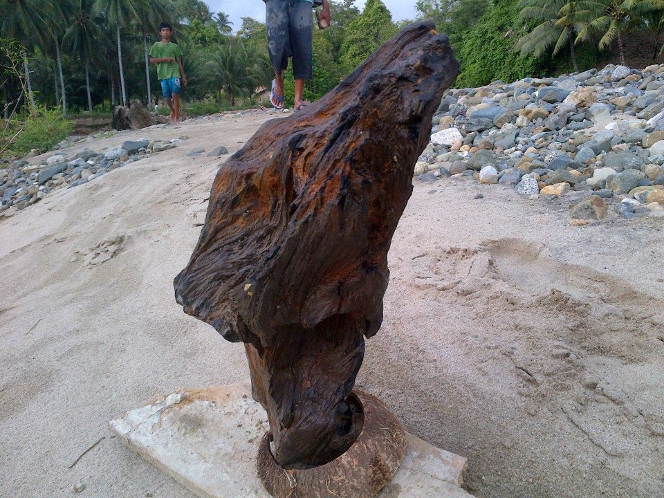 Museum Fosil Kayu Indonesia: YELLOW FOSIL