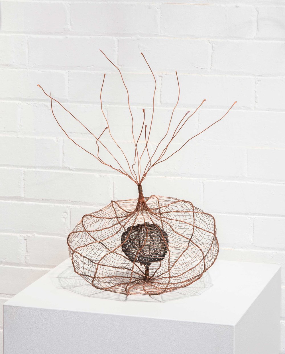 Contemporary Basketry: Wire