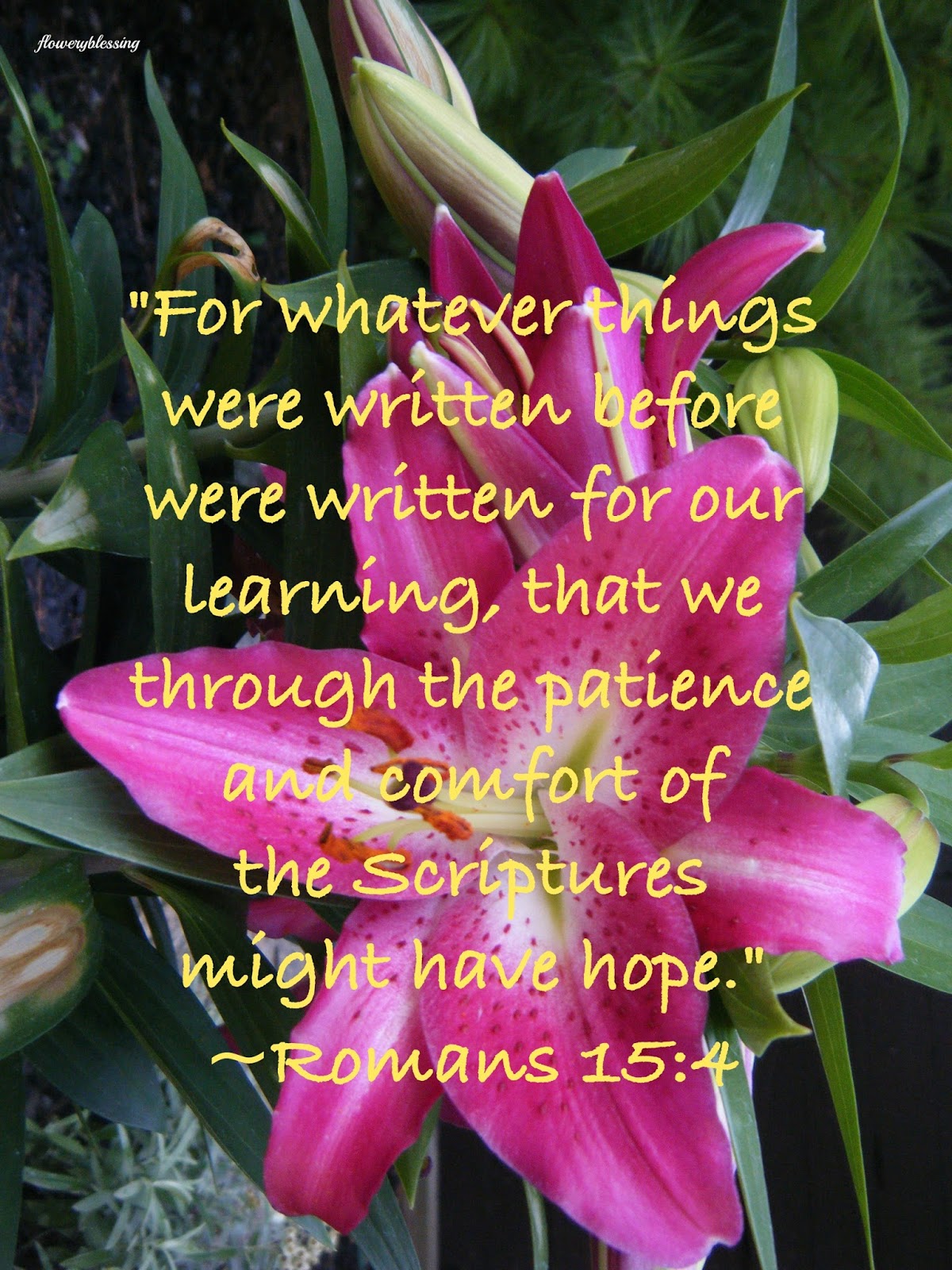 Flowery Blessing: "For whatever things were written before were written ...