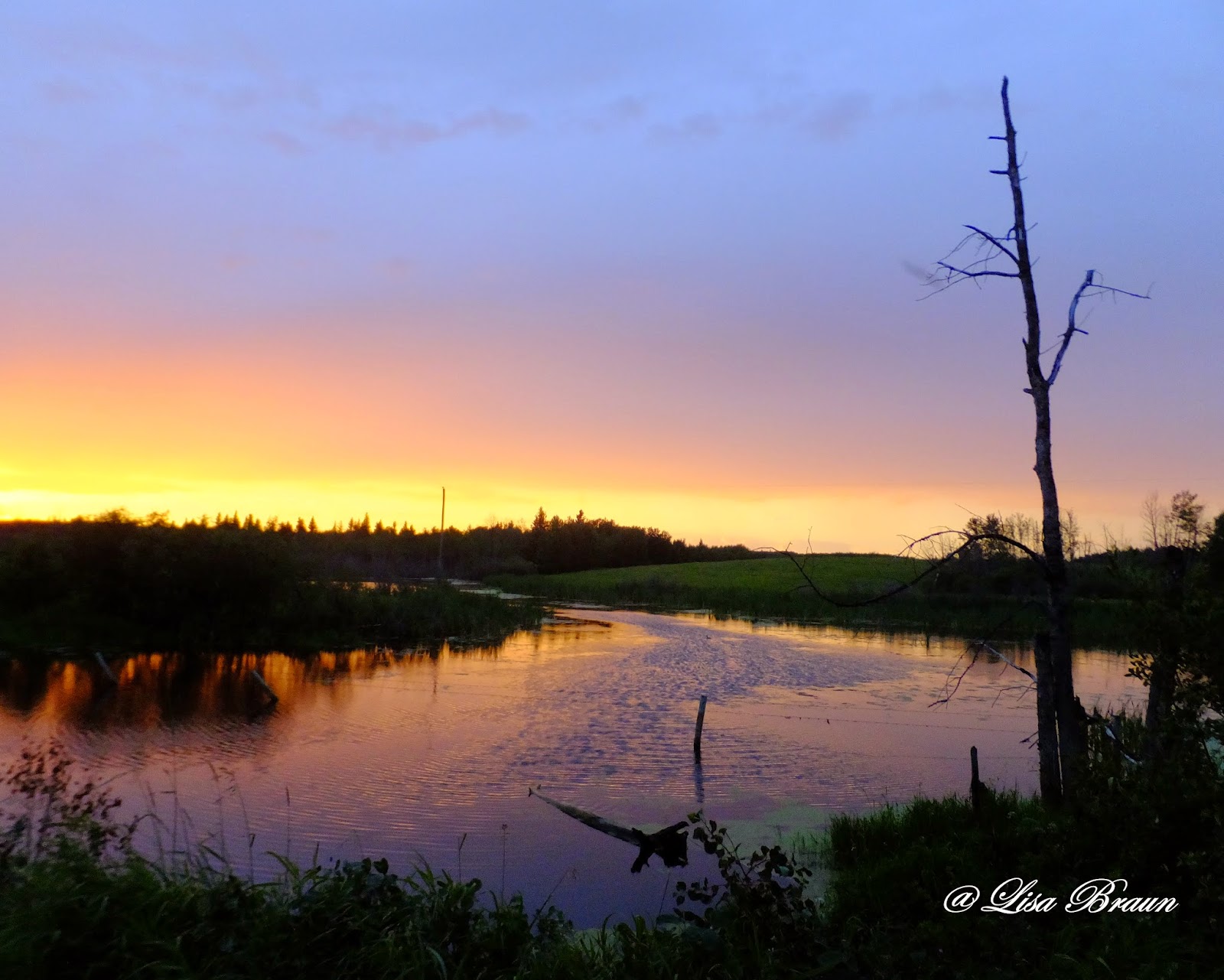 Photography by Lisa: 2016 Barren Beauty of the Saskatchewan Prairie Scenes