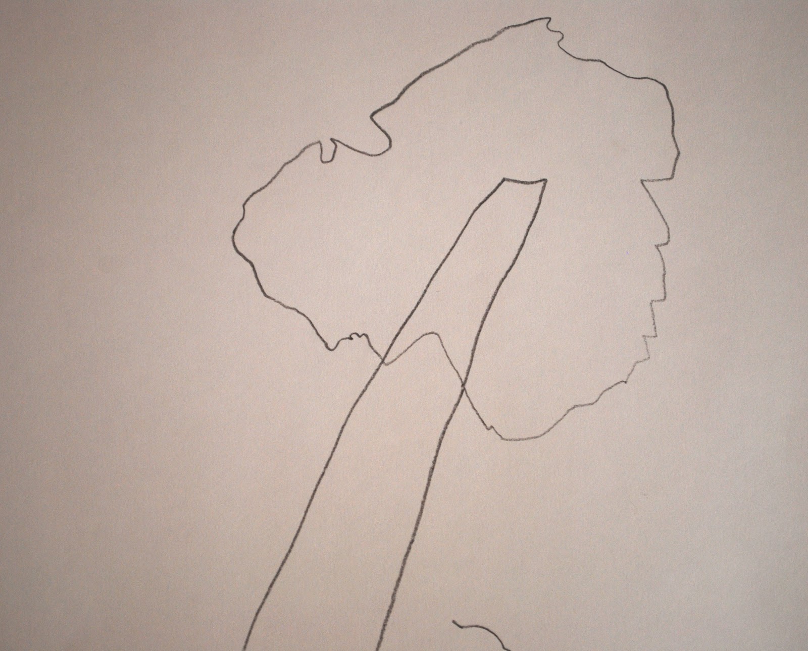 mamascout: make :: contour plant drawings