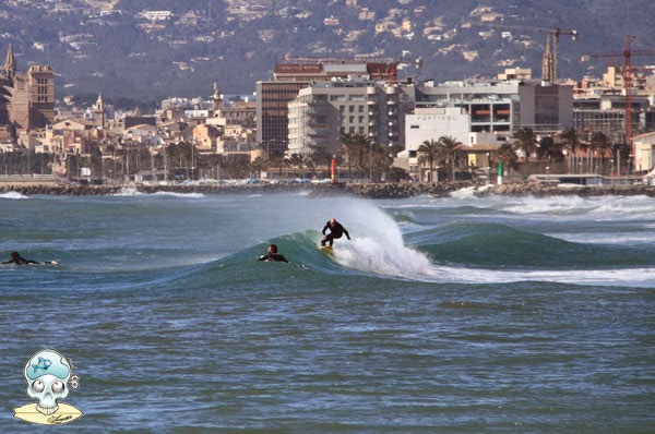 LUNATICS SURF MENORCA: 2014-02-22 CIUDAD JARDÍN, PALMA DE MALLORCA
