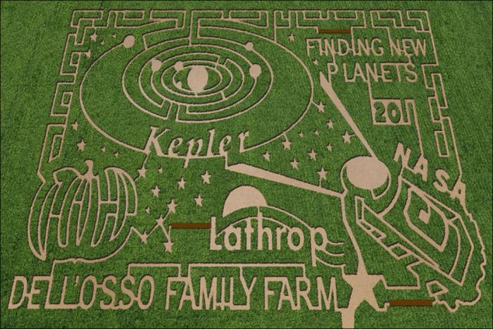 Awesome Corn Crop Maze Art (37 Pics) | Women System