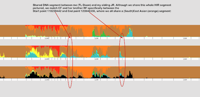Roots & Recombinant DNA: Ethnicity Chromosome Mapping & Determining ...