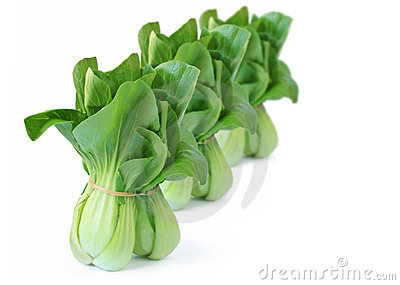 Chinese Cabbage - Bok Choy | Philippines Petsay