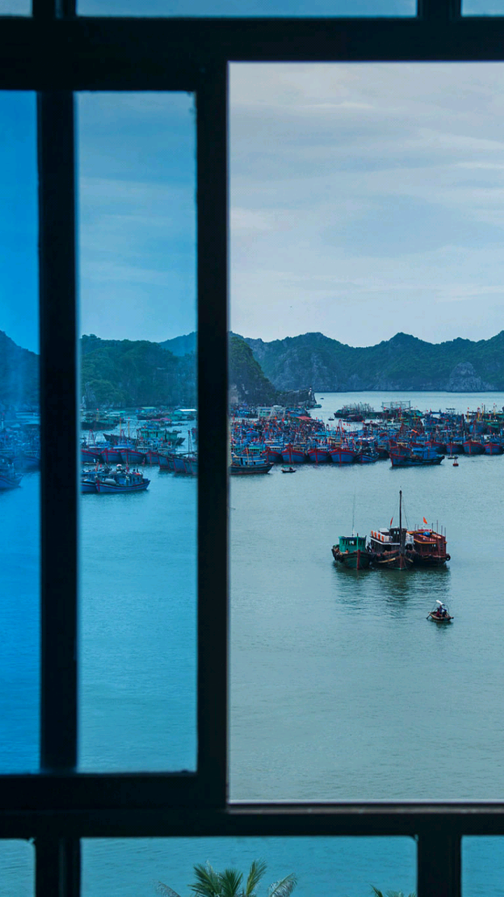 29 Most Beautiful Bing Wallpapers For Android Phones - Tech Viola