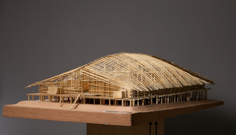 Humerus Revelations of the Naked Ape: The Kaluli of Papua New Guinea