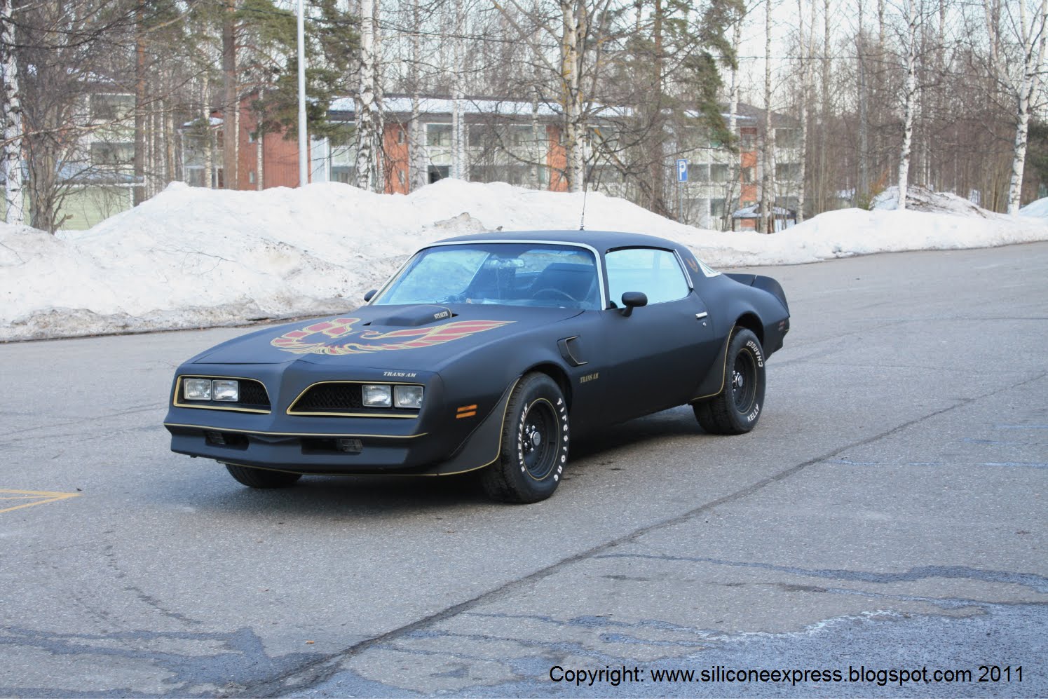 Silicone Express: Trans Am '78 Project update!