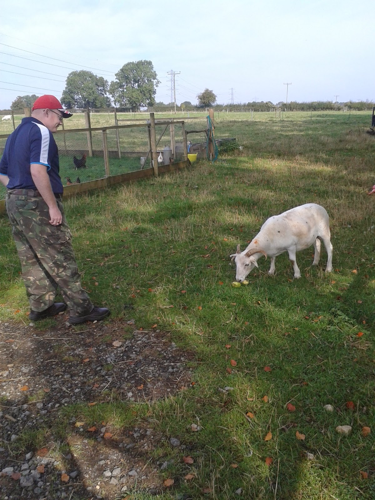 Scrubditch Care Farm : September 2014