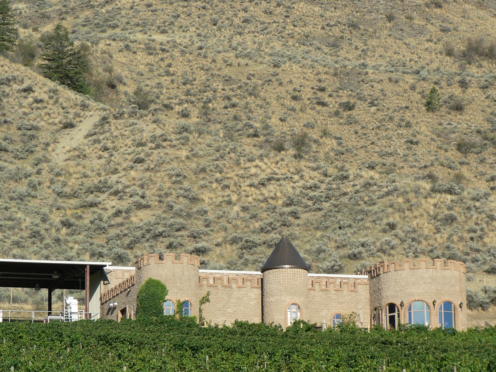 John Schreiner on wine: Road 13 Vineyards attracts attention