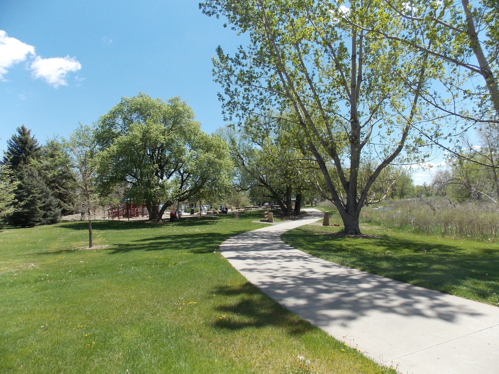Denver's Bike Paths: EXPLORING BEAR CREEK TRAIL MAY 2013