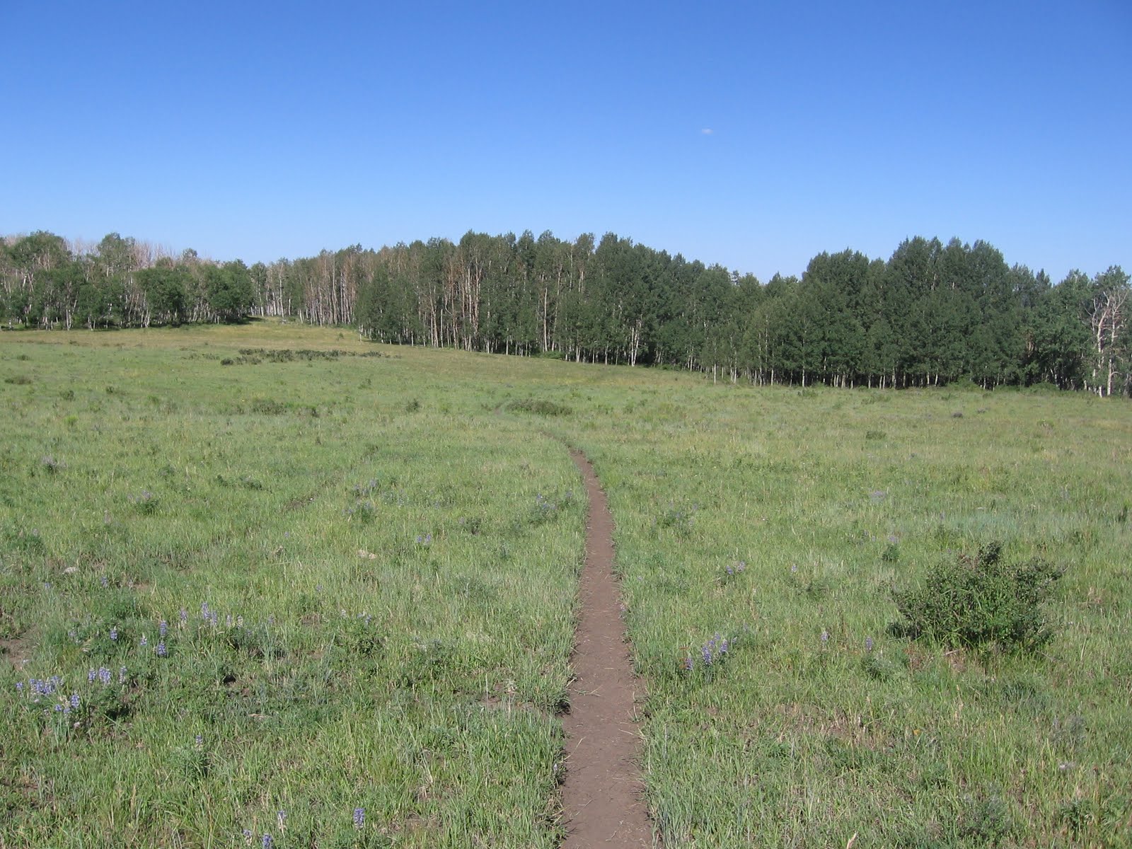 Four Corners Hikes-Dolores River Valley Colorado: Lower Stoner Mesa Trail