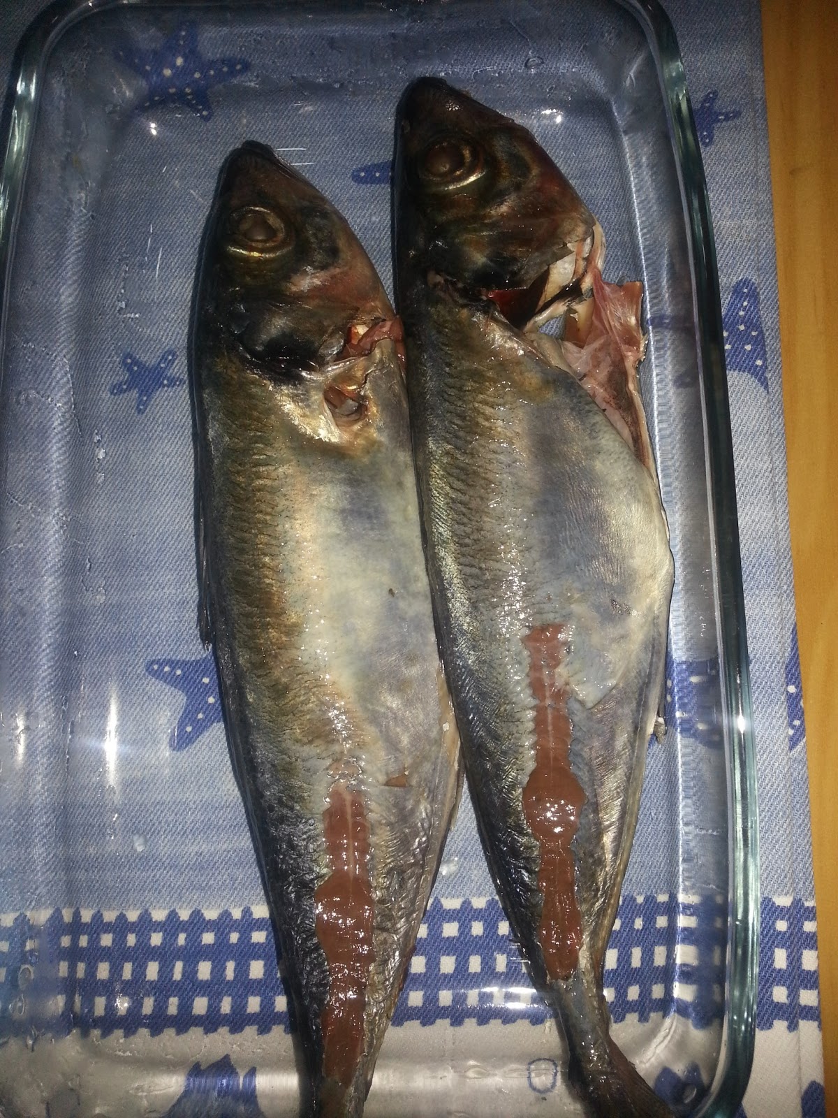 Sabor a Moda Angolana: Galeria de fotos