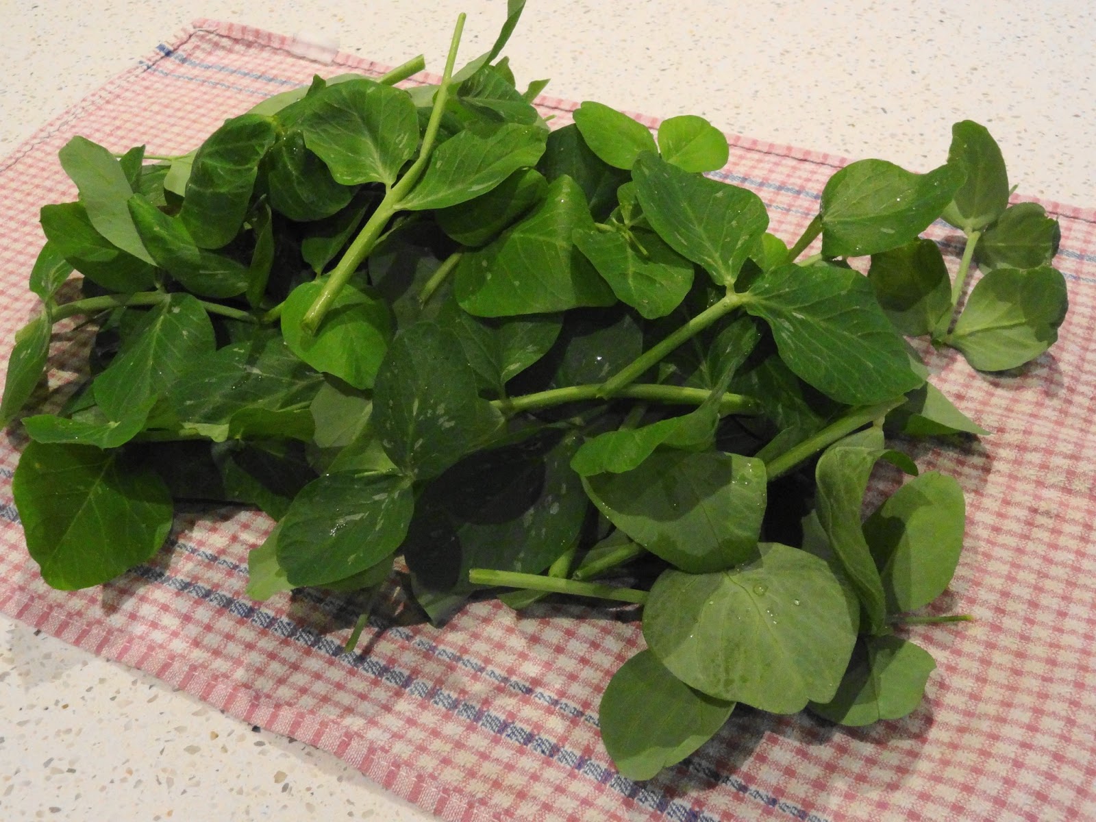 Veganise This!: Stir fried snow pea shoots