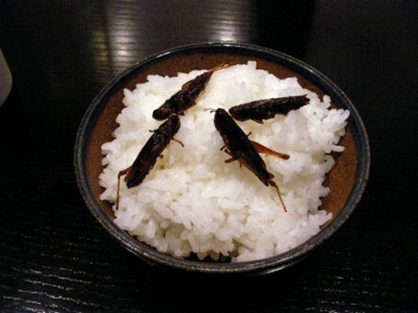 Strange delicious dishes only in Japan.. - Culture - Travel - Cuisine