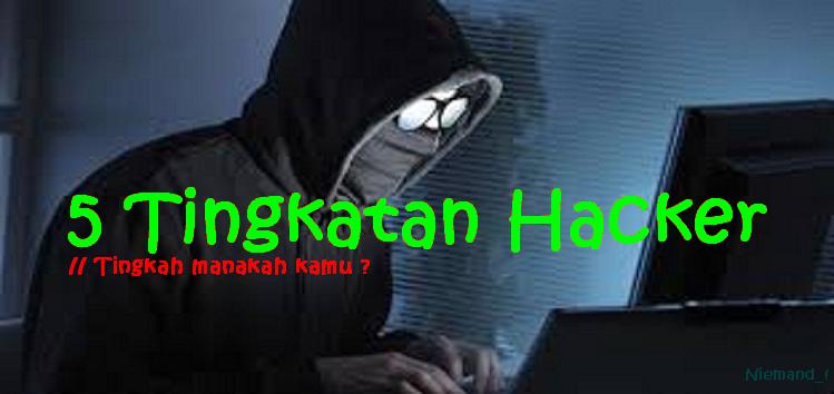 Think Again !: 5 tingkatan - tingkatan Peretas, Tingkat manakah kamu