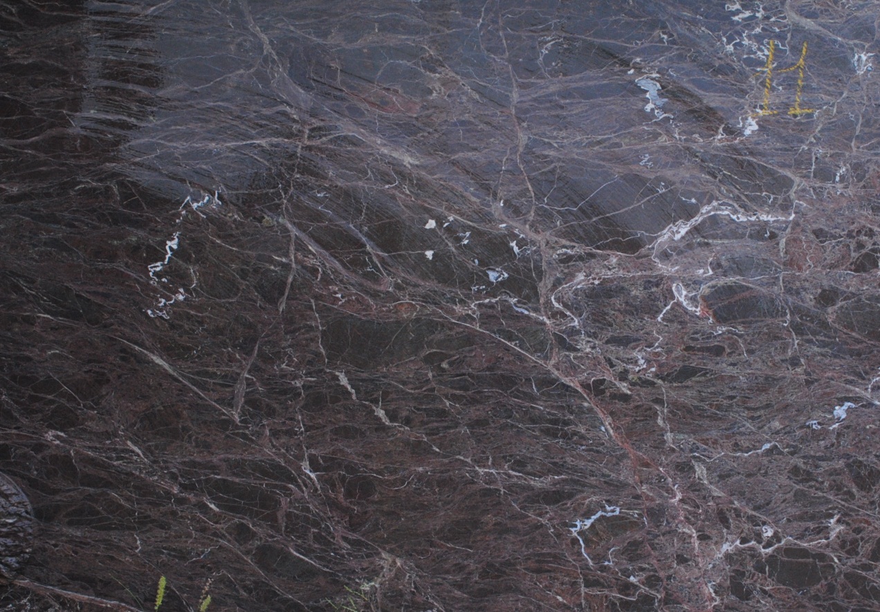 MARBLE : mansarovar stonex lavante red italian marble