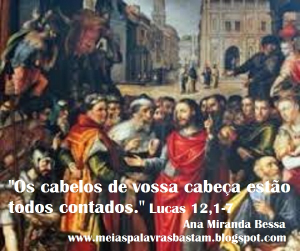 PALAVRA DE DEUS: INSTRUÇÕES AOS DISCÍPULOS - LUCAS 12,1-7 - REFLEXÃO DIÁRIA