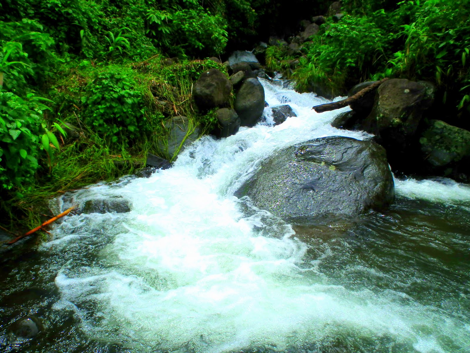 Trip ni DorangExplorer: Bacolod - Nature Trip at Negros Occidental