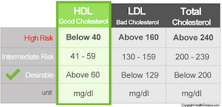 A.T./L.V. Biomed Blog