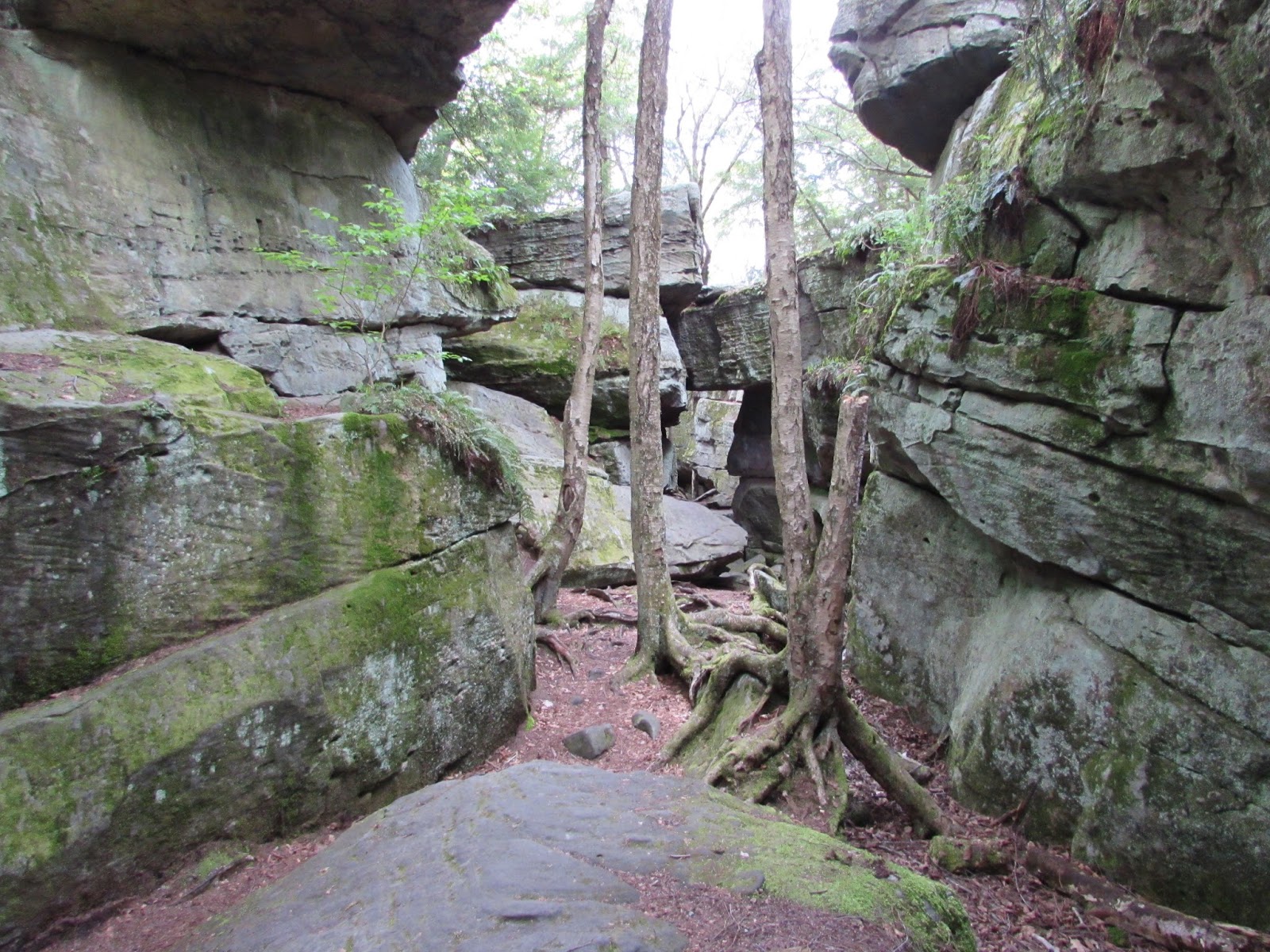Bilger's Rocks: A Labyrinth of Boulders, Clearfield County ...