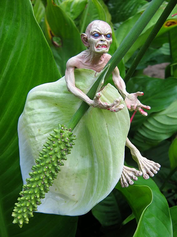 Alat Alat Penangkal Tuyul - Micin Enak