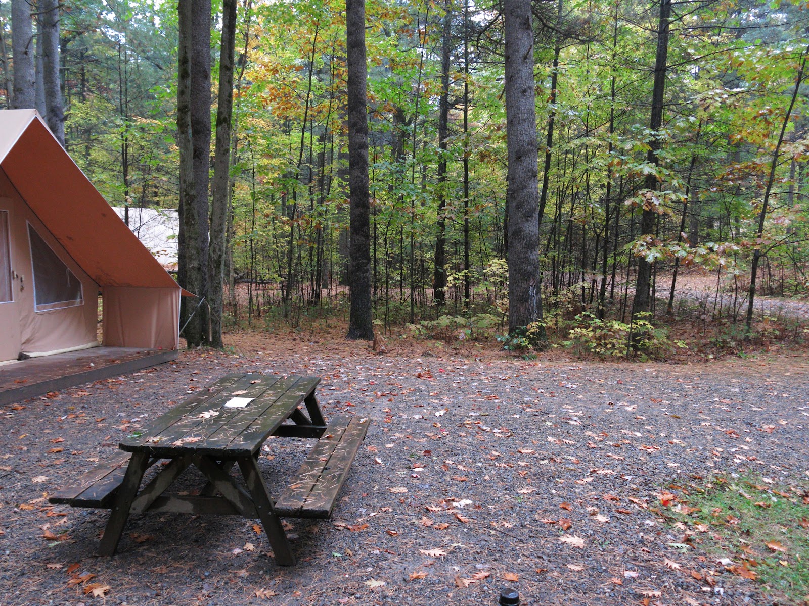 The Campsites: Oka National Park, Huttopia 133