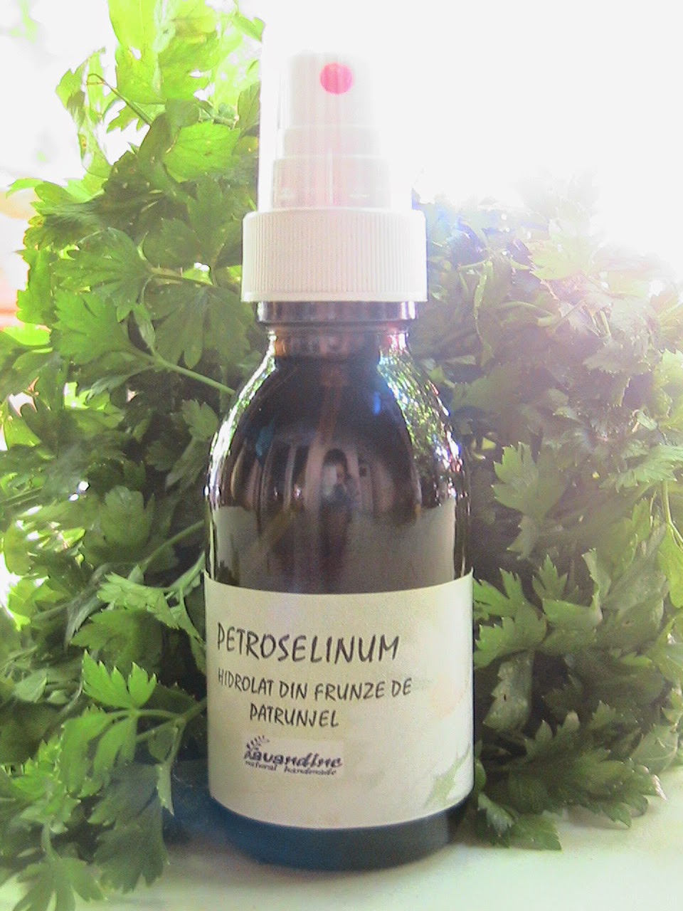 cosmetice handmade: Hidrolat de patrunjel