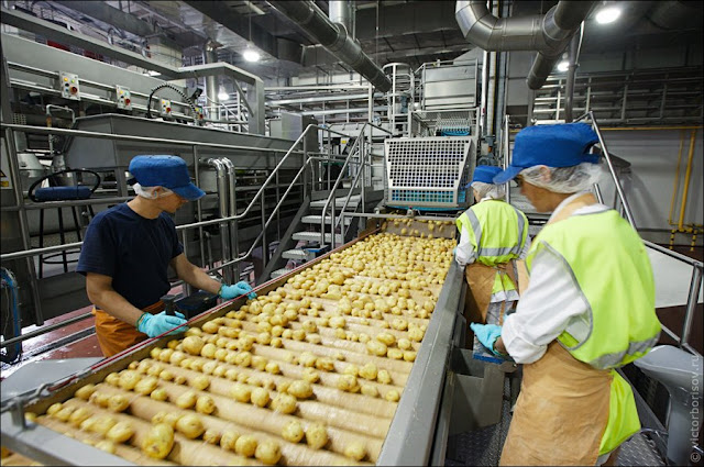 Sneak Peek Inside Lays Factory |Funroster
